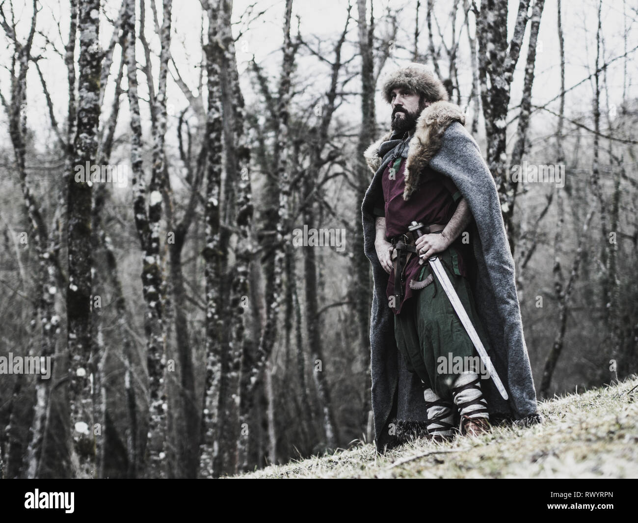 Viking chief hi-res stock photography and images - Alamy