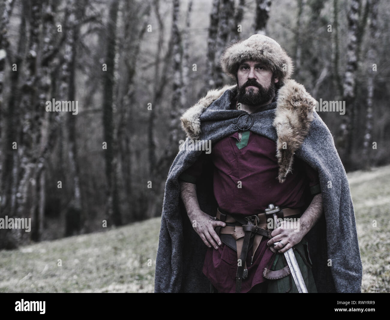 Viking chief hi-res stock photography and images - Alamy