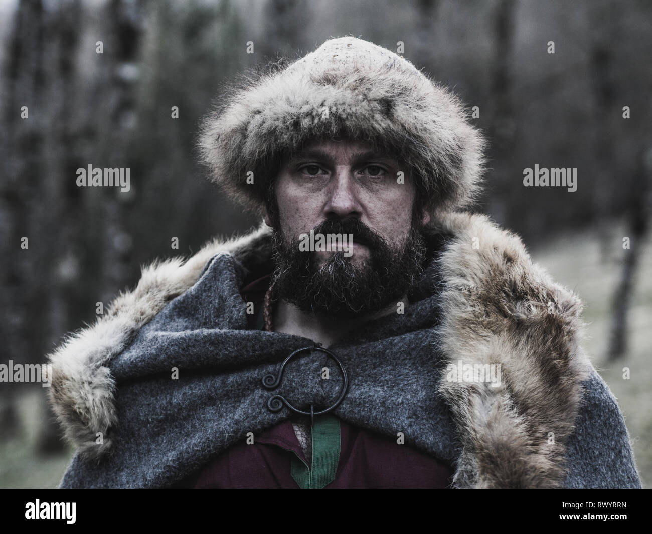 Viking Chief Jarl in the woods Stock Photo - Alamy