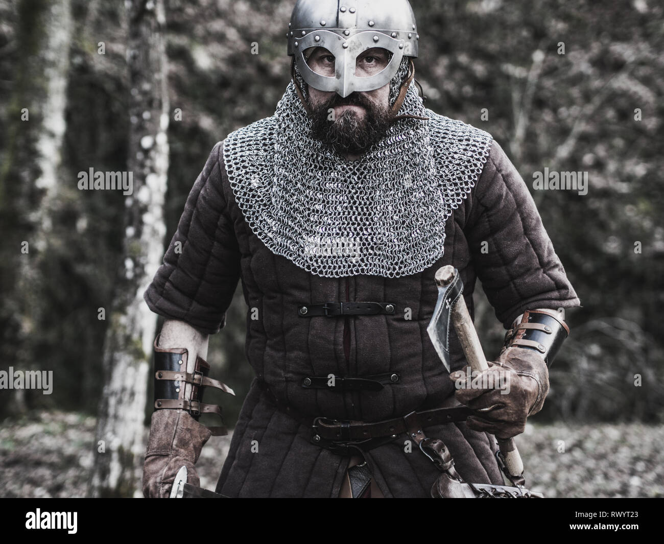 Viking with axe and sword ready to battle Stock Photo - Alamy