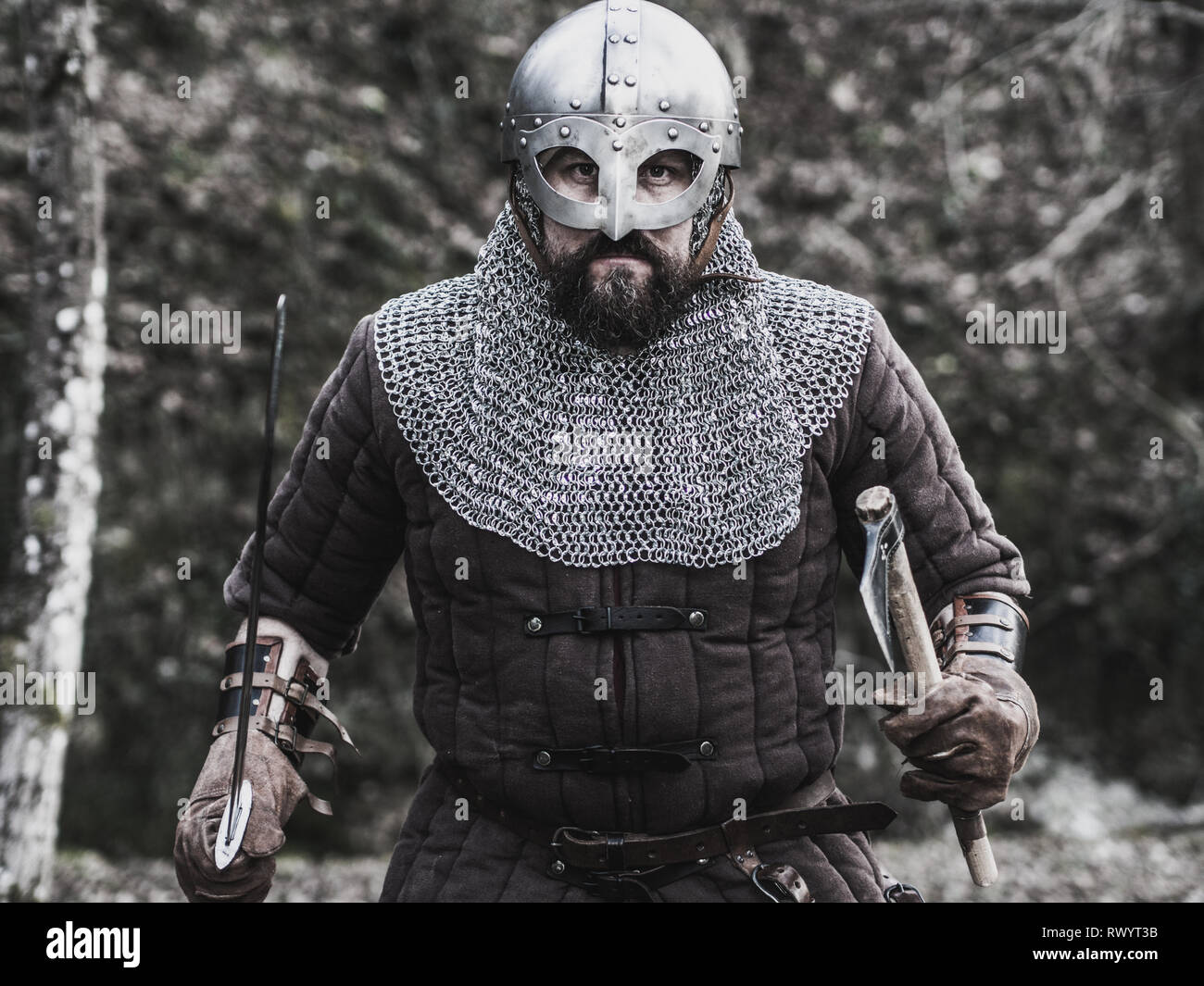 Viking with axe and sword ready to battle Stock Photo - Alamy