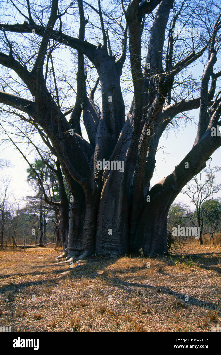 Shelter zimbabwe hi-res stock photography and images - Alamy