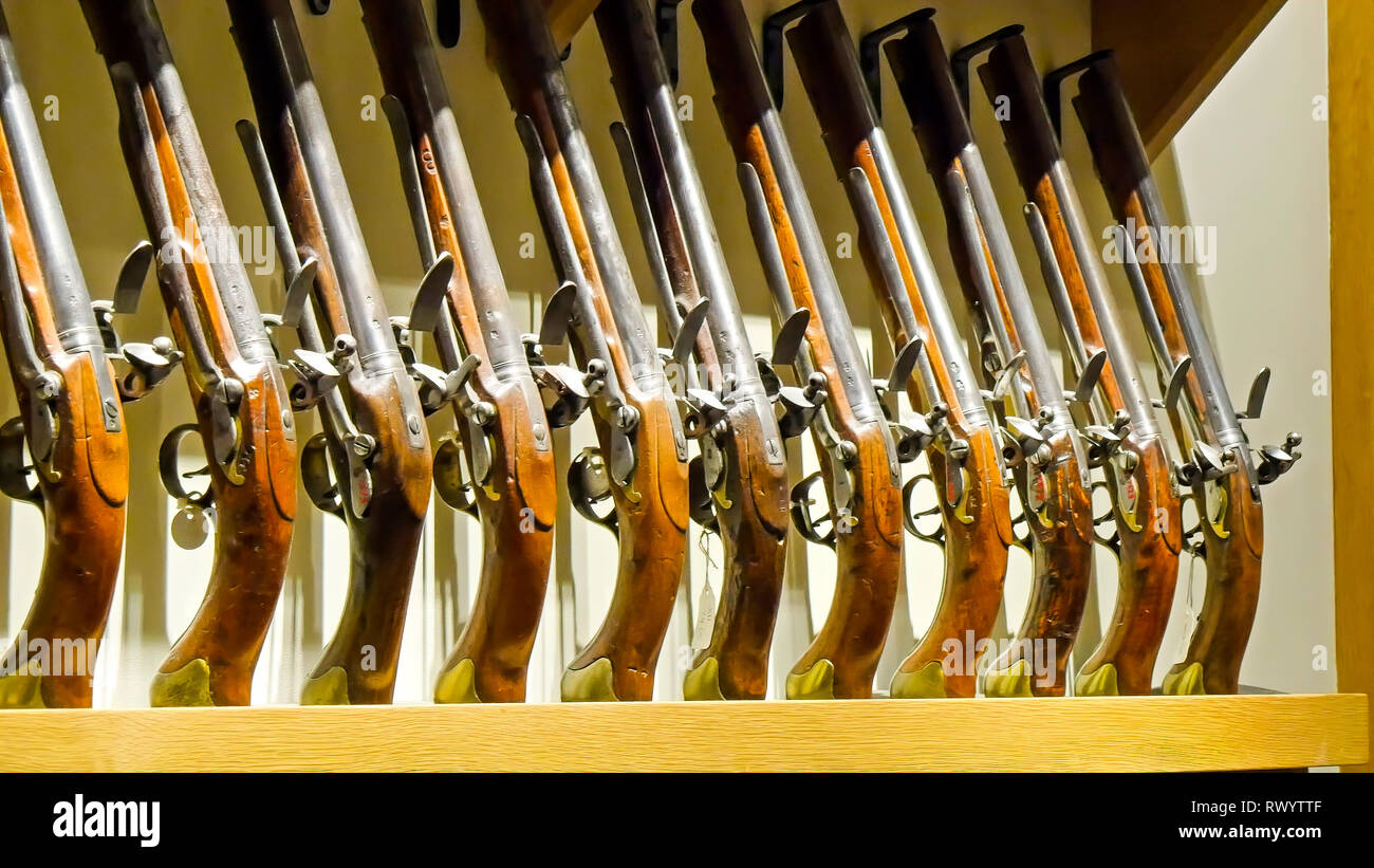 Twelve shot guns on display inside a white room. These guns are one of ...