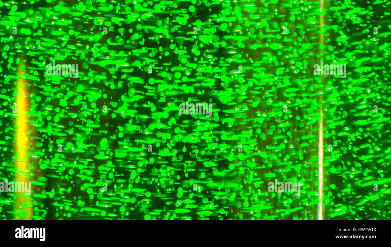 Green lights from a lighting effect. Looks like some leaves on a plant ...