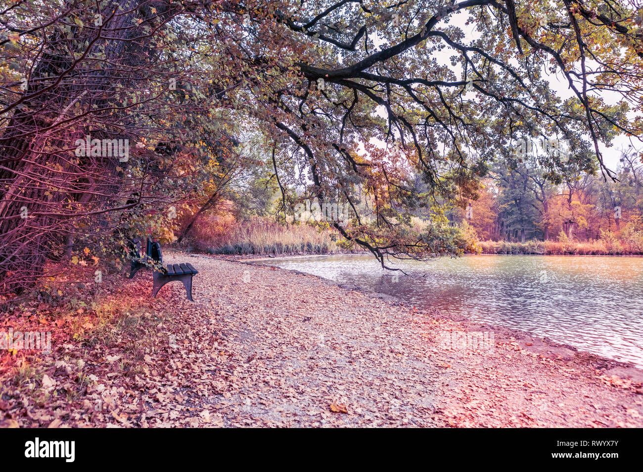 An Old Park at fall in Munich, Germany Stock Photo - Alamy