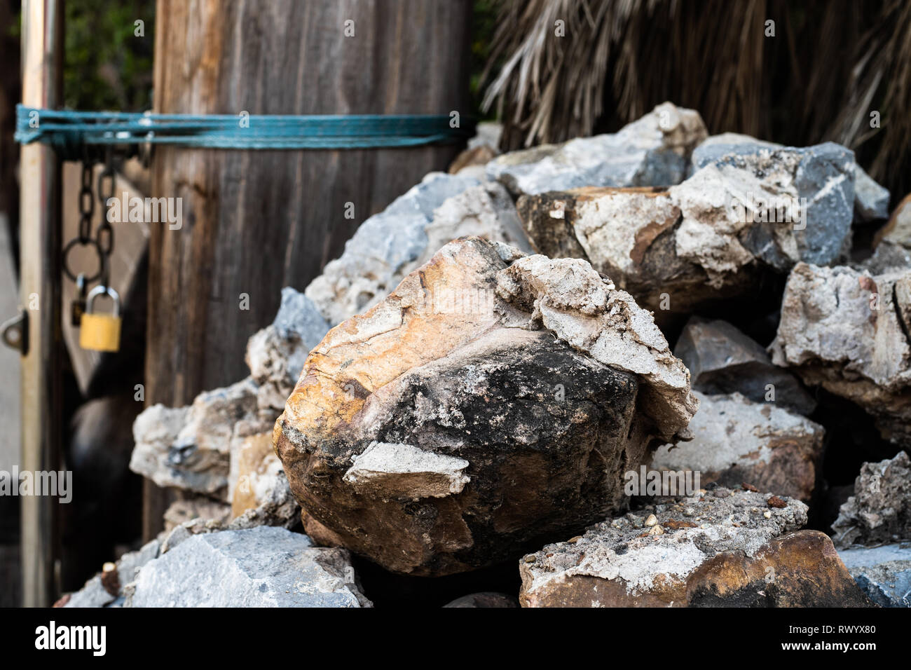 4k palm tree hi-res stock photography and images - Alamy