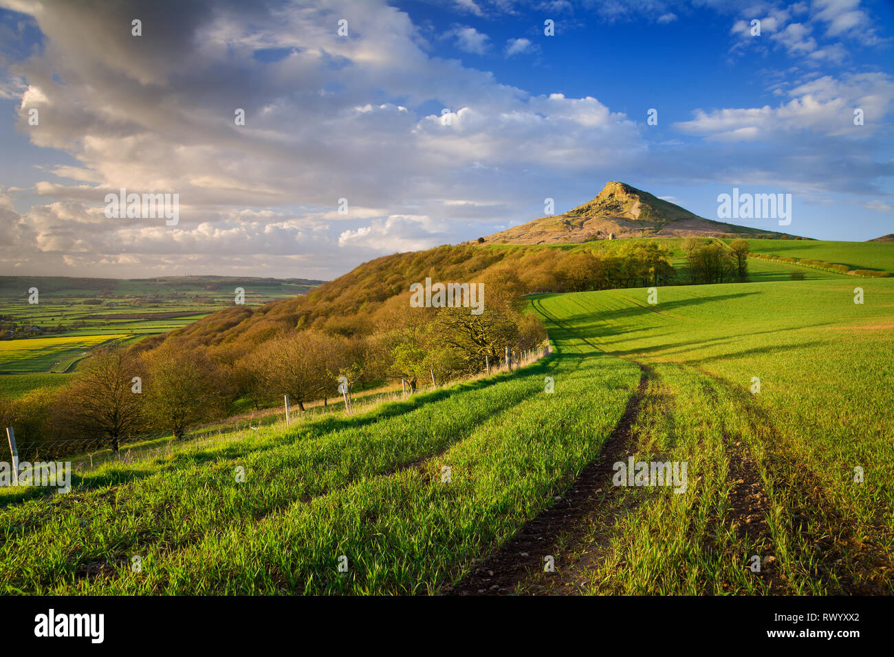 Roseberry Topping, Yorkshire Stock Photo - Alamy