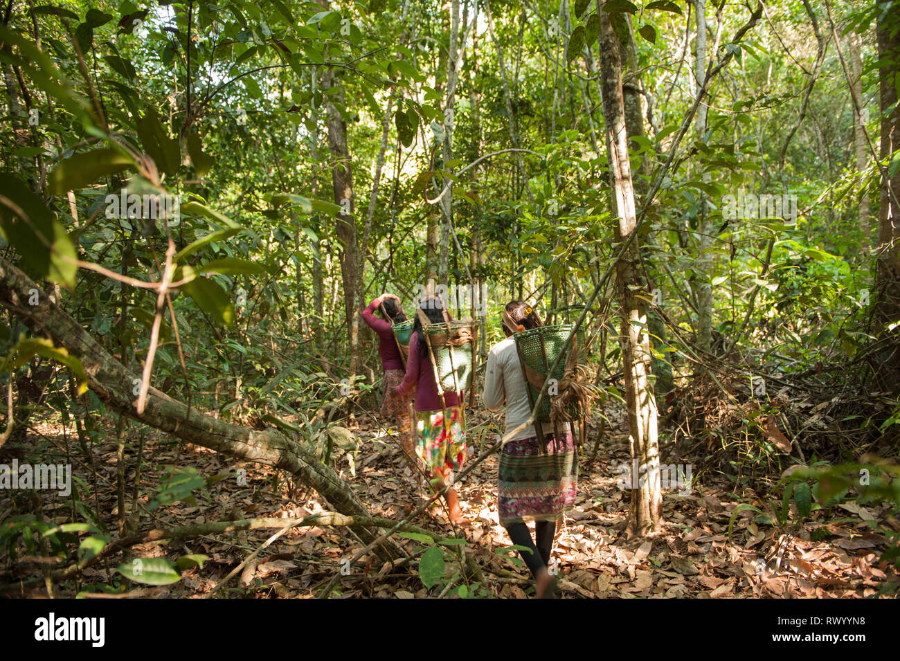 Mato Grosso State, Brazil. Kayapo Indian women with traditional design ...
