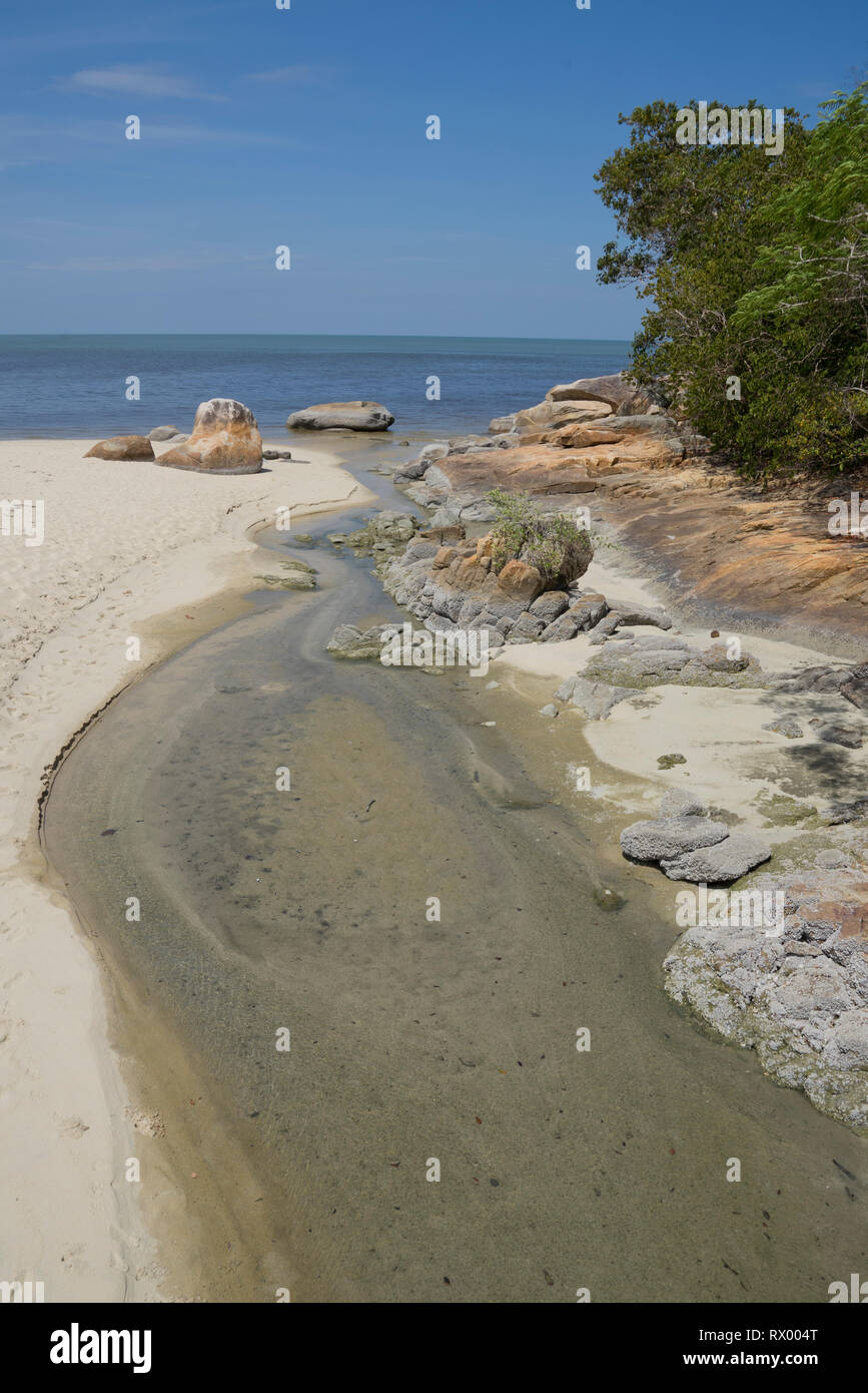 Beach by the rainforest in the Taman Negara Pulau Pinang nature reserve ...