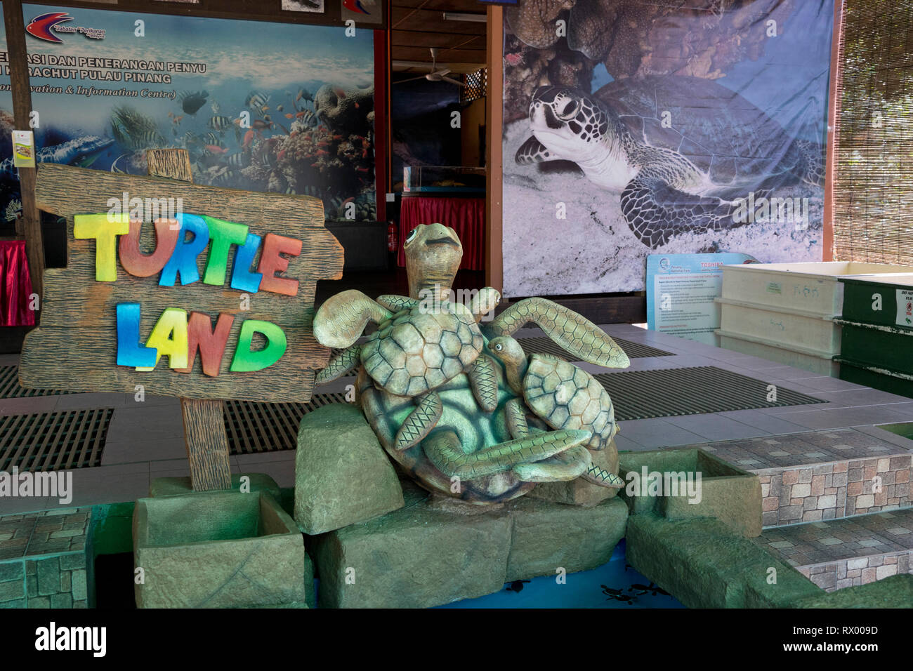Turtle sanctuary in the rainforest in the Taman Negara Pulau Pinang ...
