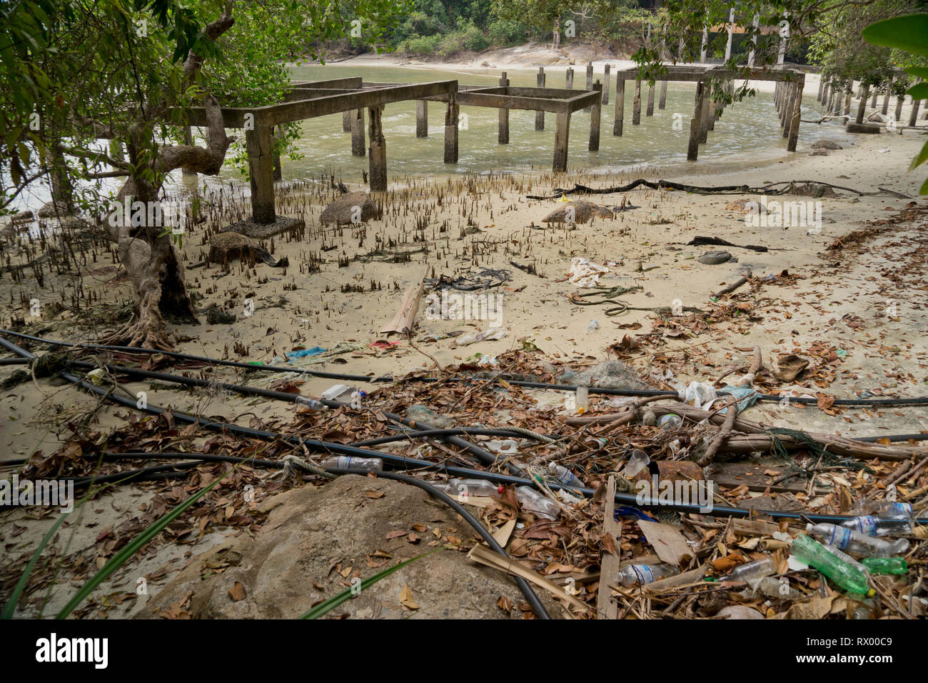 Rubbish and plastic pollution on a beach by the rainforest in the Taman ...