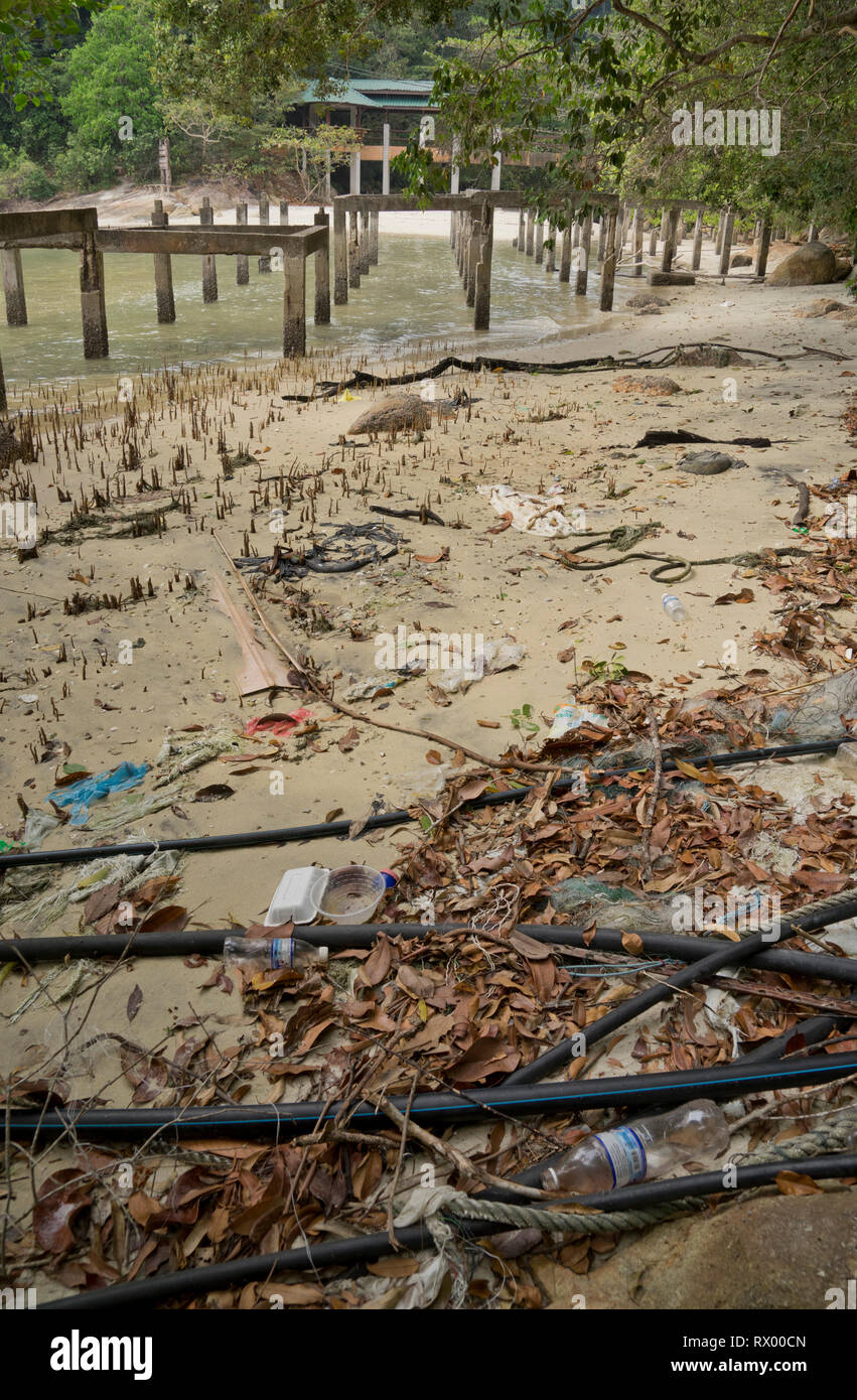 Rubbish and plastic pollution on a beach by the rainforest in the Taman ...