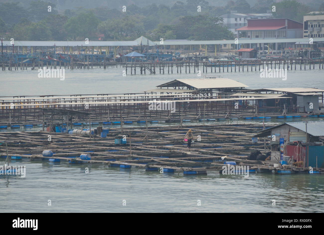 Fishing boats in penang malaysia hi-res stock photography and images ...