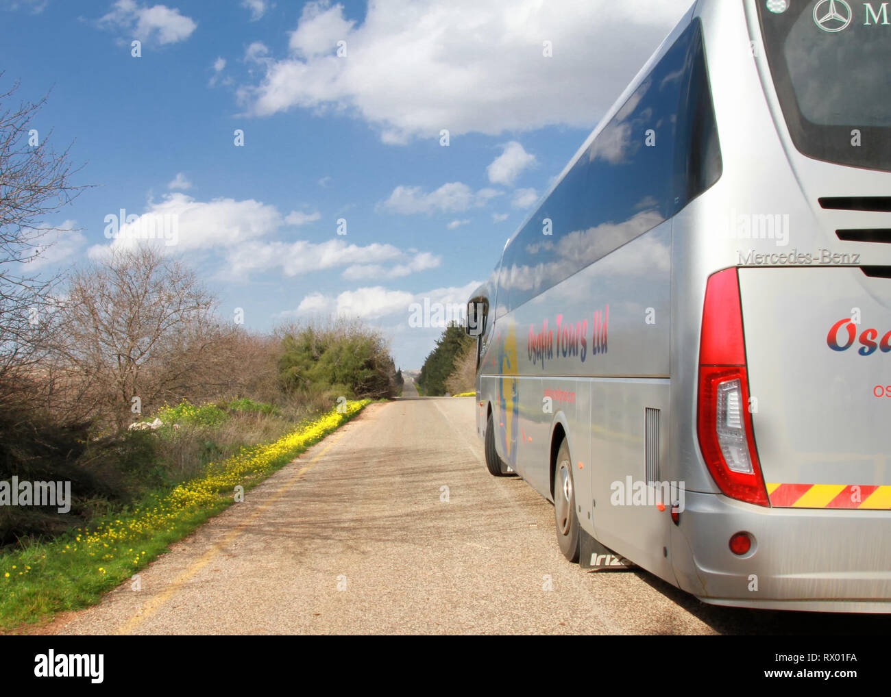 Wildflowers by the road hi-res stock photography and images - Alamy
