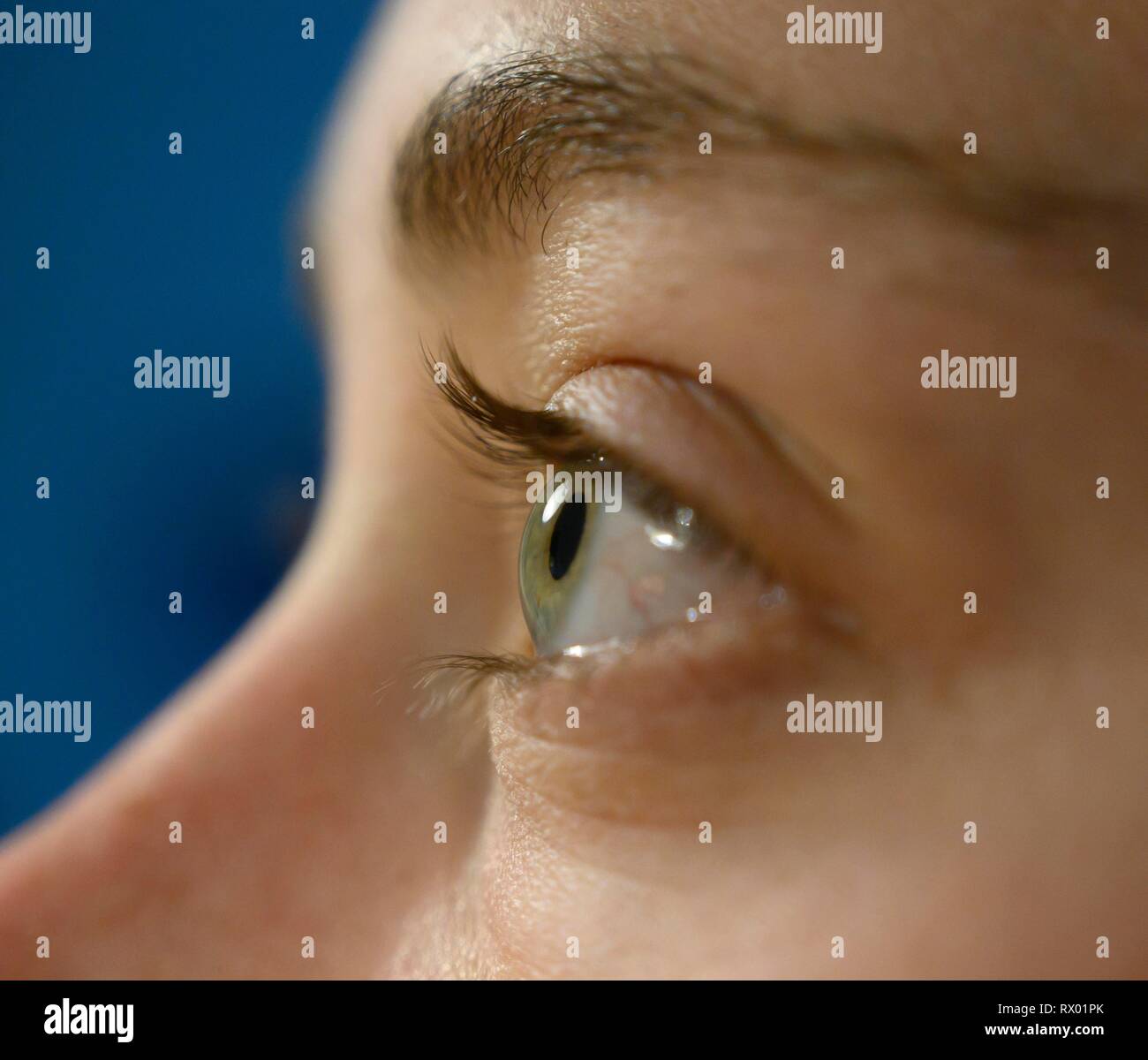Eye of a young woman, Germany Stock Photo - Alamy