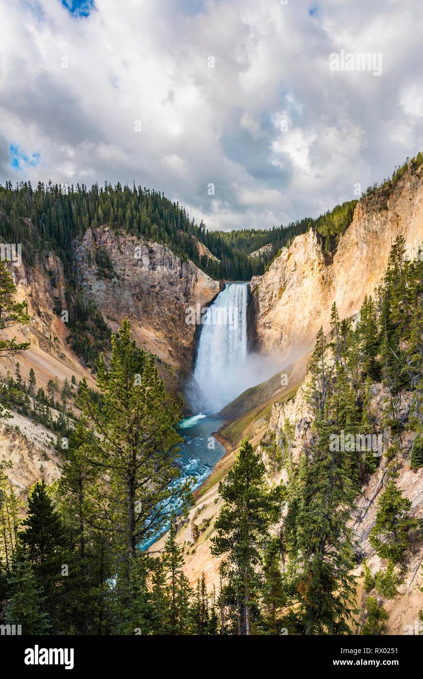 Lower Falls, waterfall in a gorge, Grand Canyon of the Yellowstone ...