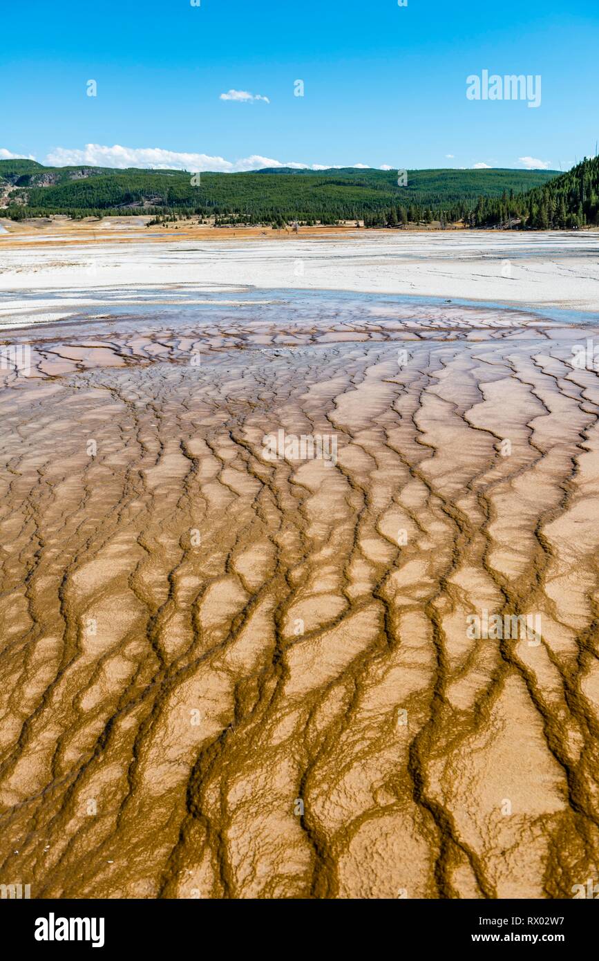 Wave structure, mineral deposits at the edge of the hot spring, detail ...