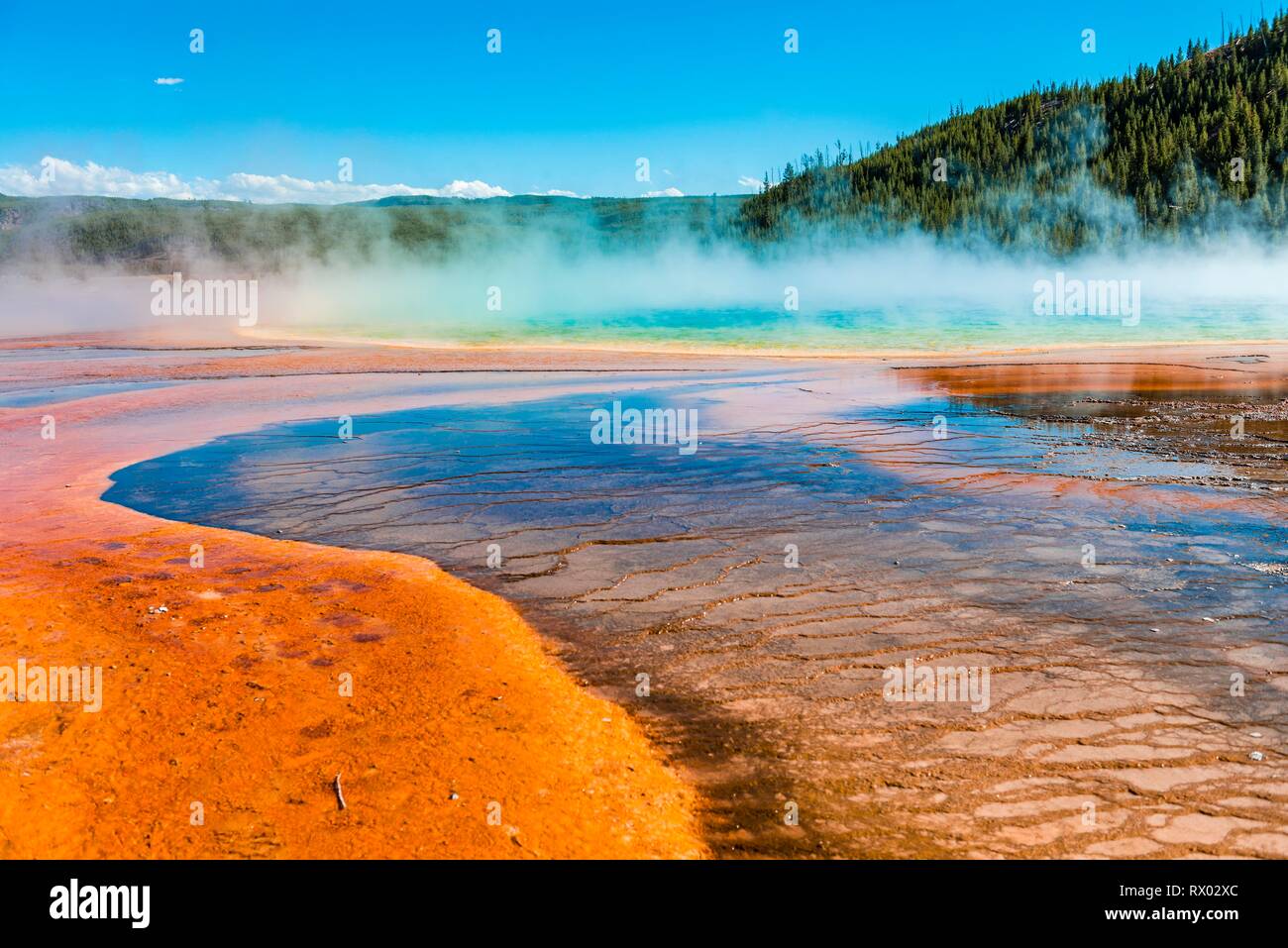 Colored mineral deposits at the edge of the steaming hot spring, detail ...