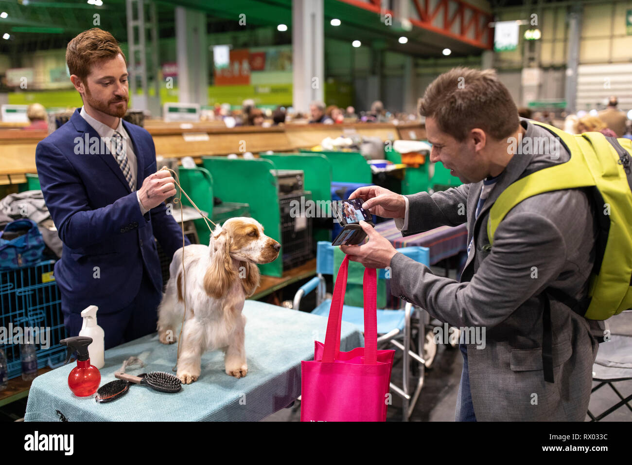Crufts dog show nec hi-res stock photography and images - Alamy