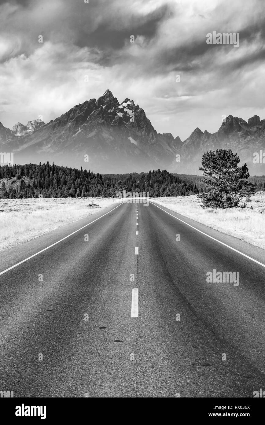 Country Roads Black And White