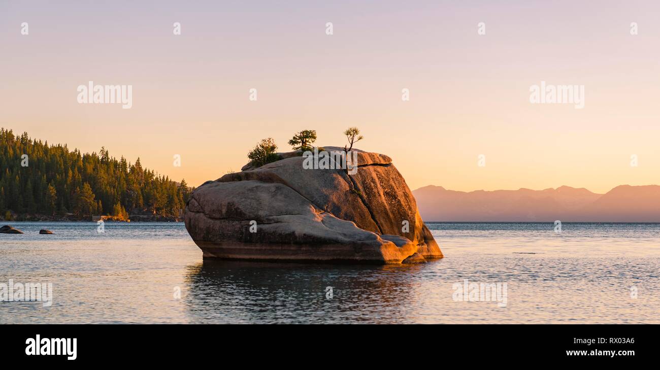 Bonsai Rock, small tree on a rock in the water, sunset, Lake Tahoe ...