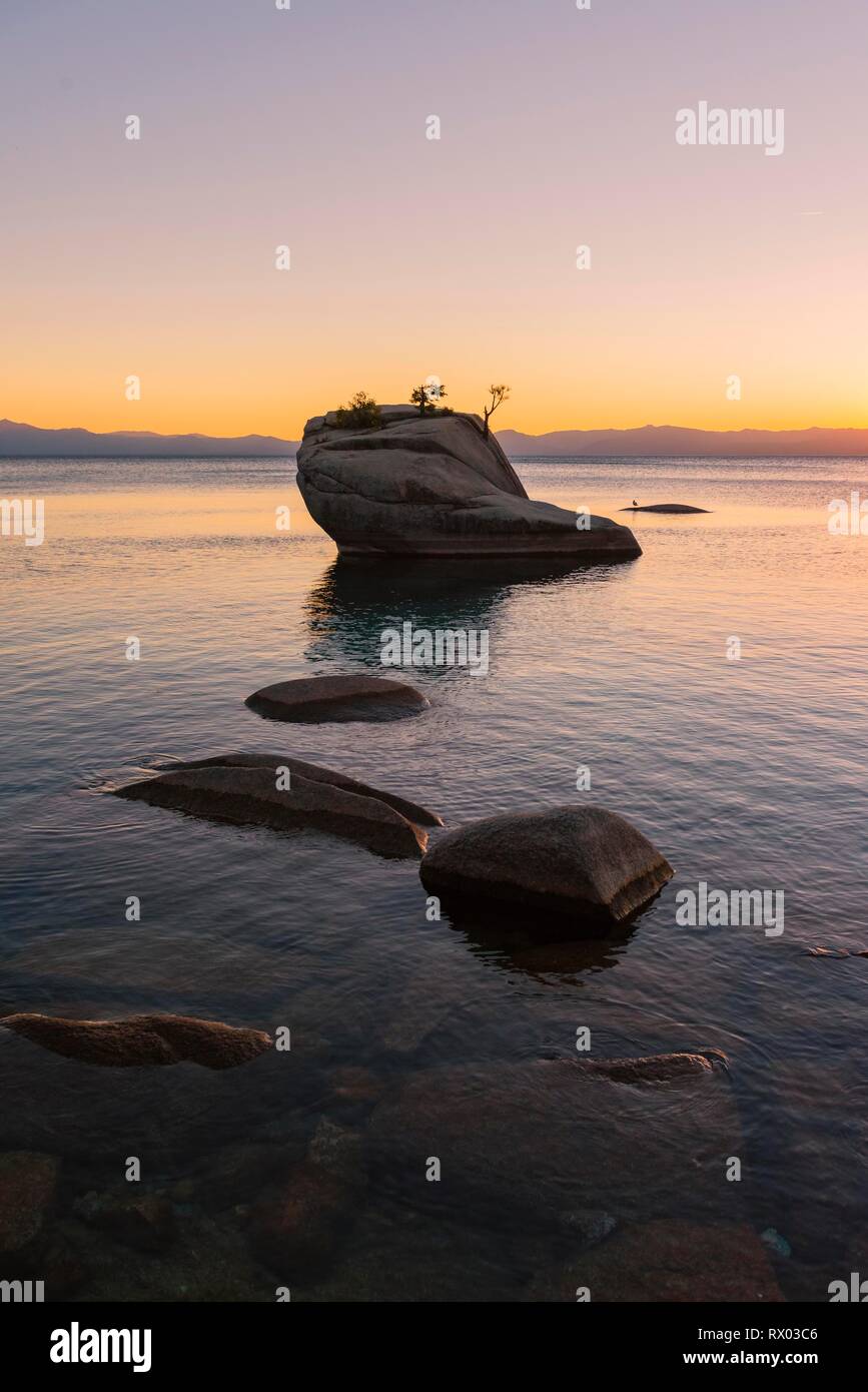 Bonsai lake tahoe hi-res stock photography and images - Alamy