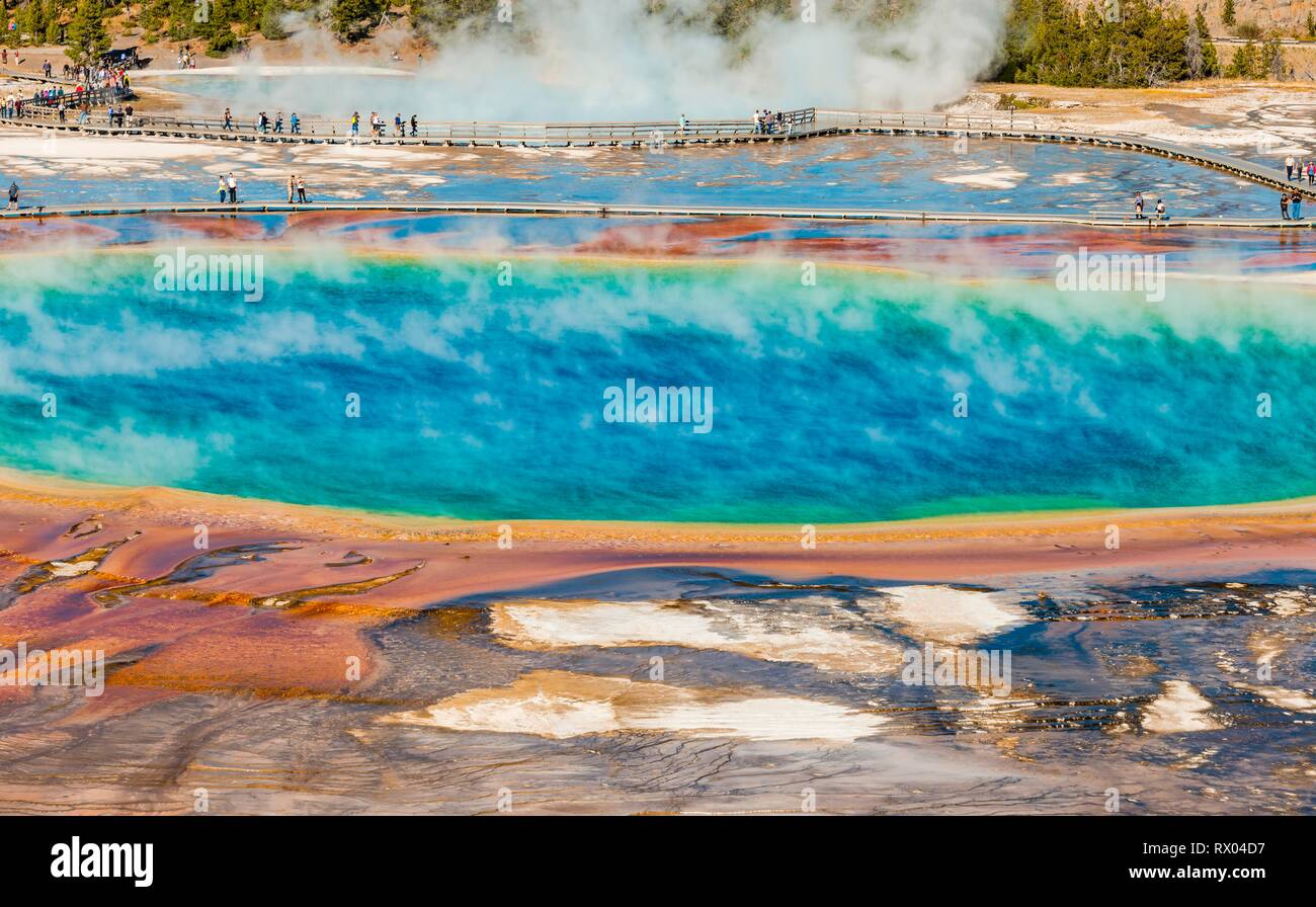 Tourists on a jetty in the thermal area, steaming hot springs, Grand ...