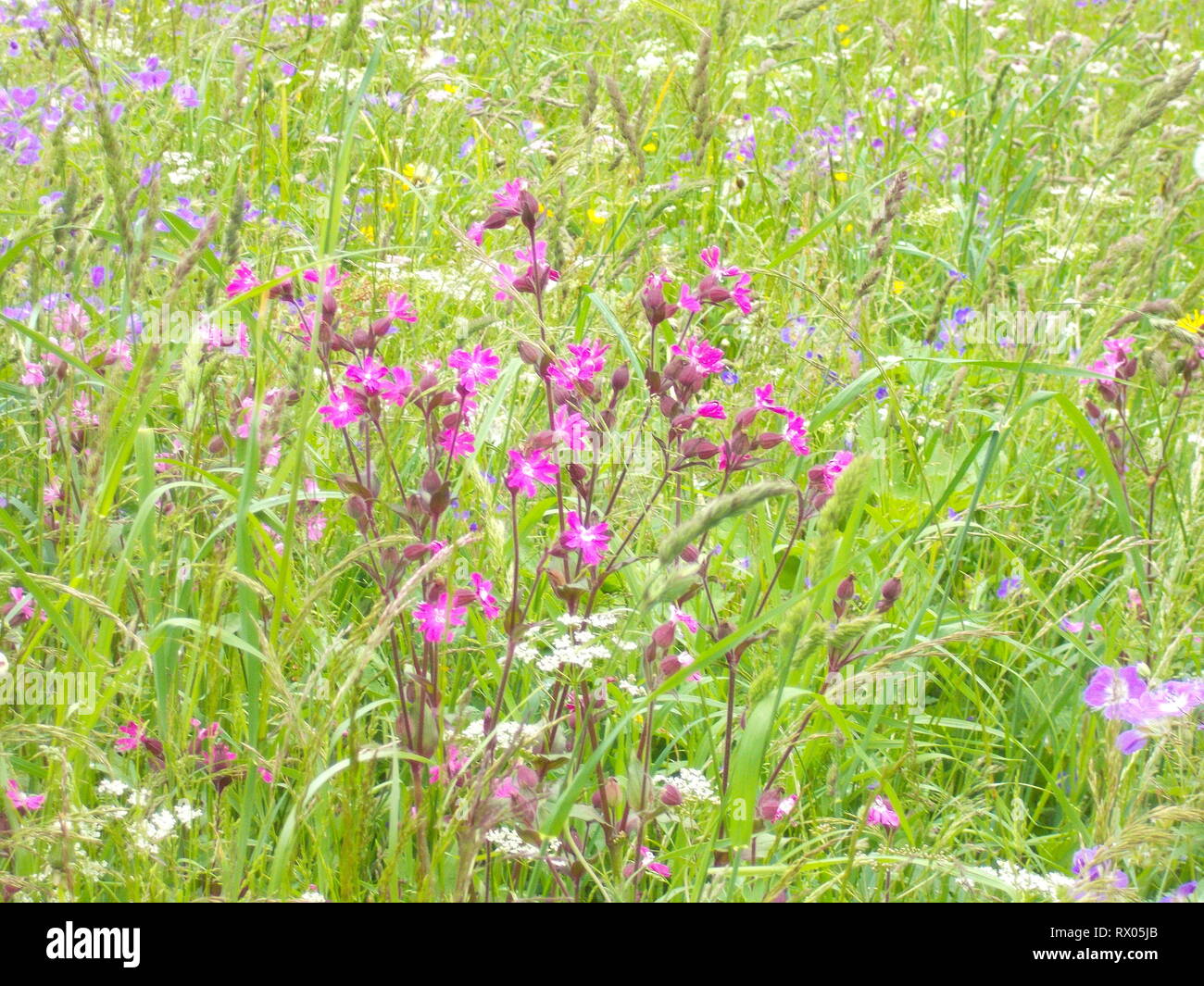 Wandern spring hi-res stock photography and images - Alamy