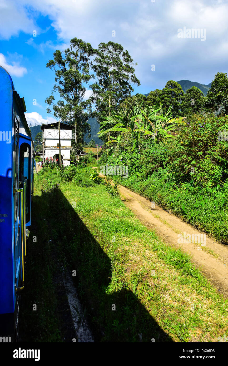 Sri Lankan Blue Train ride heading through hill country and tea ...