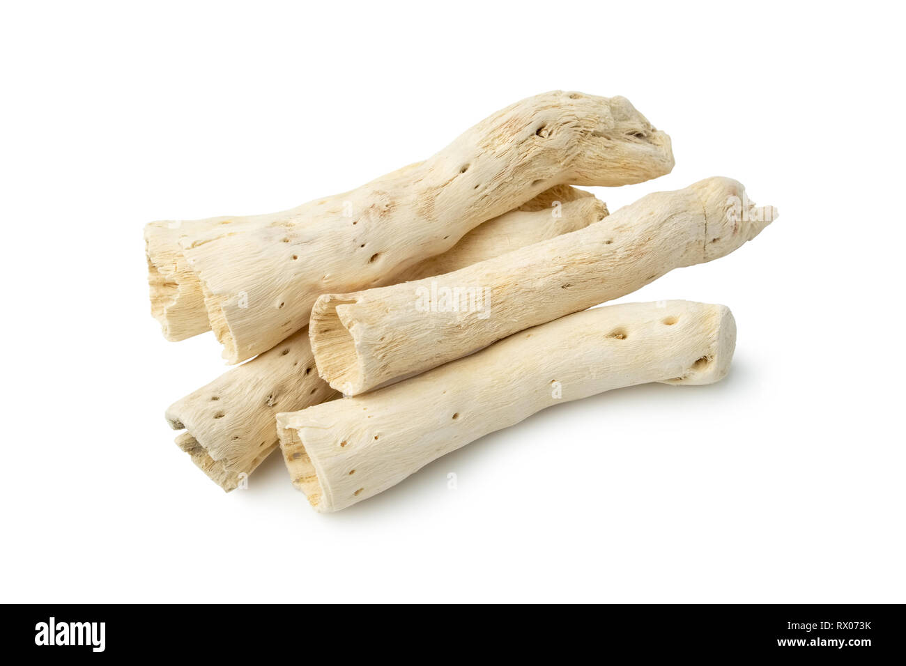 Hollow roots Cut Out Stock Images & Pictures - Alamy