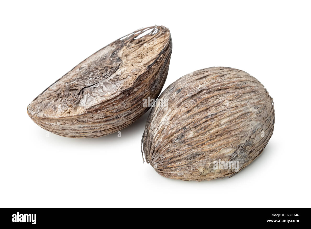 Dried coconut on white background Stock Photo - Alamy