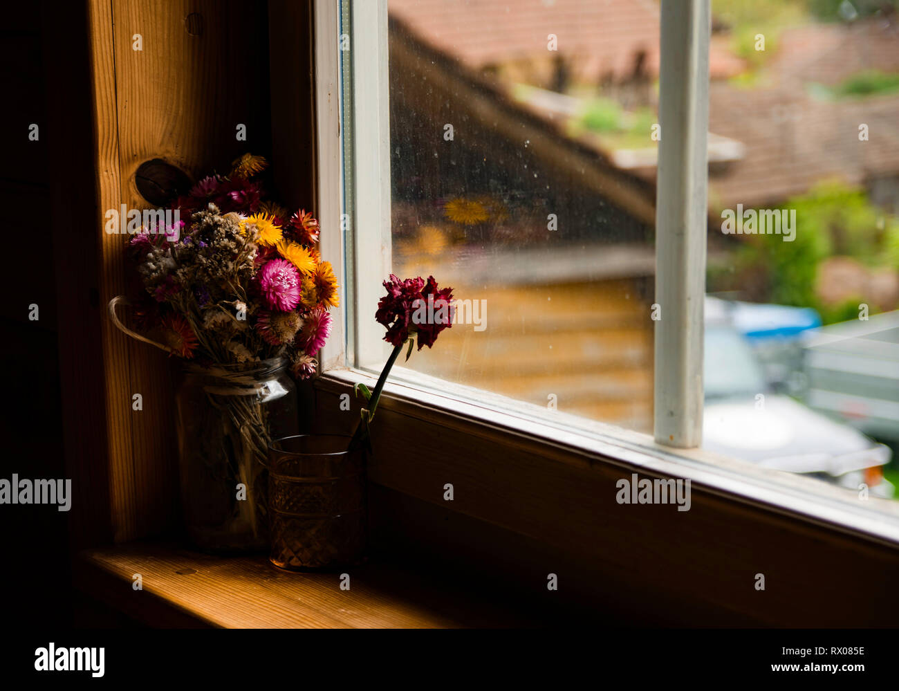 Wilted house plant hi-res stock photography and images - Alamy
