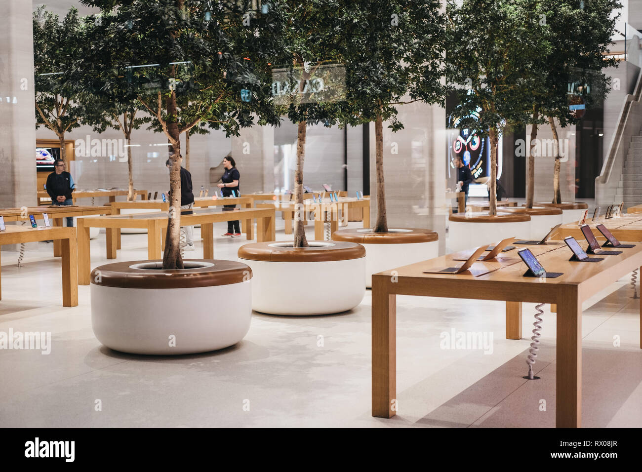 Apple store interior with trees hi-res stock photography and images - Alamy