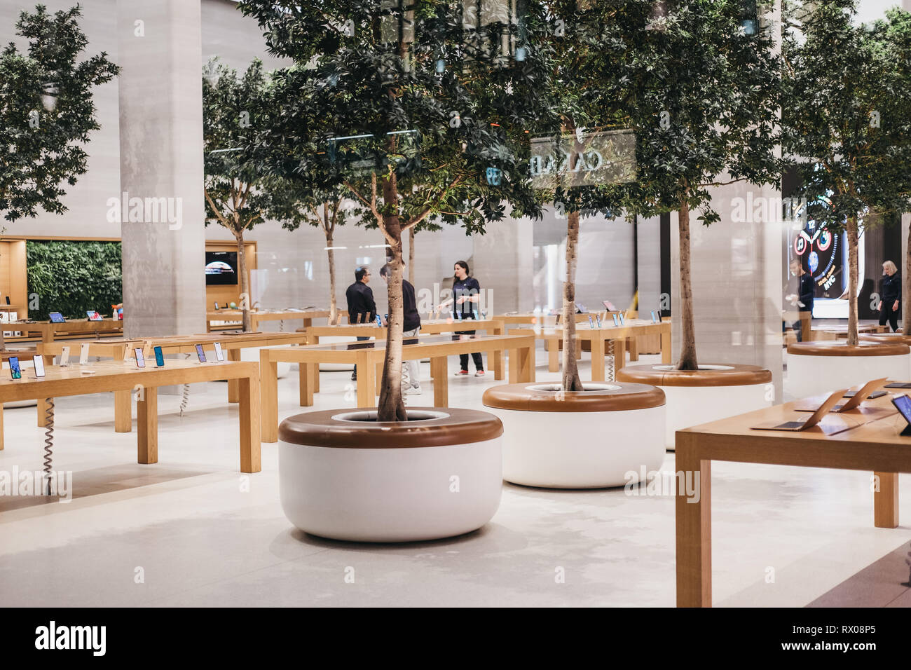 Apple store interior with trees hi-res stock photography and images - Alamy