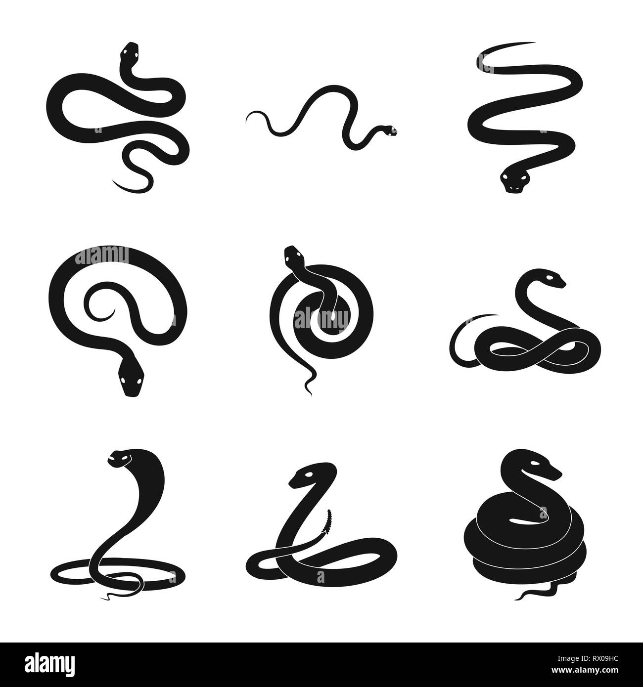 amphibian,animal,snake,viper,anaconda,cobra,tail,coral,white,python ...