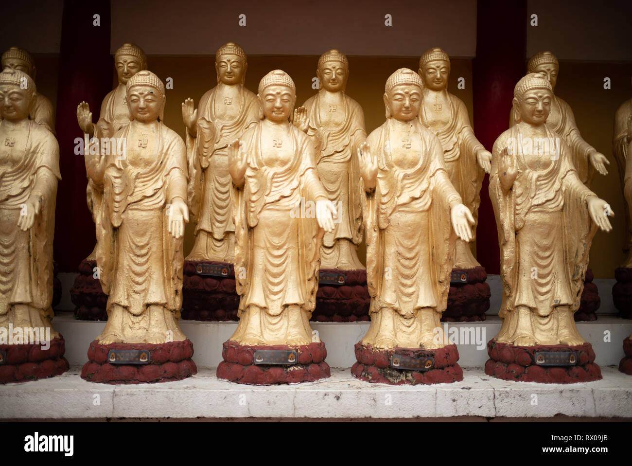 Buddhist monk praying hands hi-res stock photography and images - Alamy