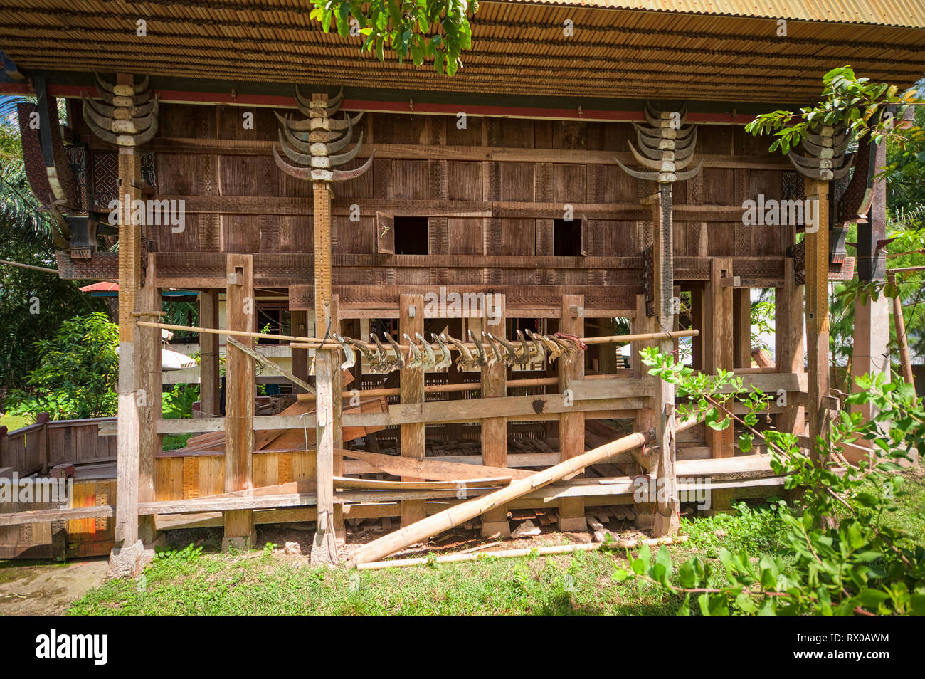 Tana Toraja Regency is a regency of South Sulawesi Province of ...