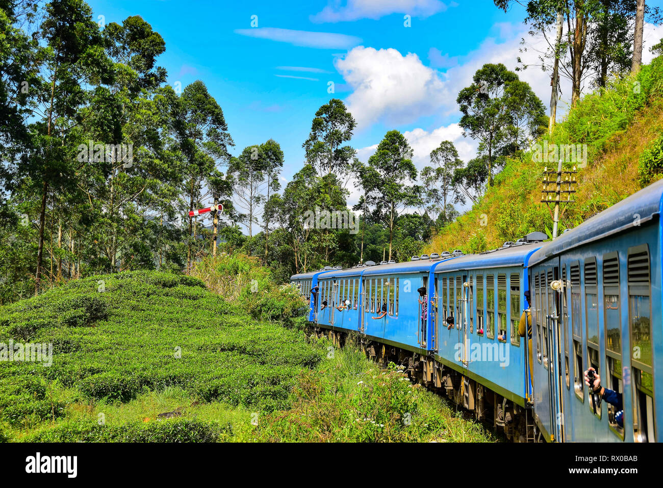 Sri Lankan Blue Train ride heading through hill country and tea plantations from Colombo to ...