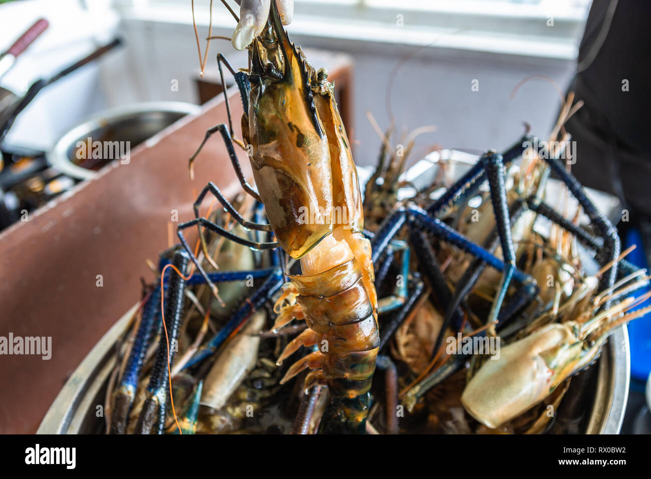 Giant tiger prawn hi-res stock photography and images - Alamy