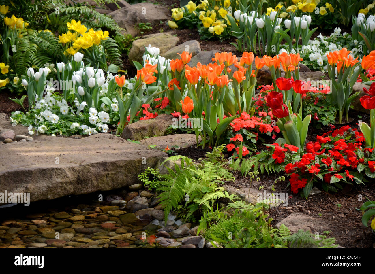 Annual flowers yellow center hi-res stock photography and images - Alamy