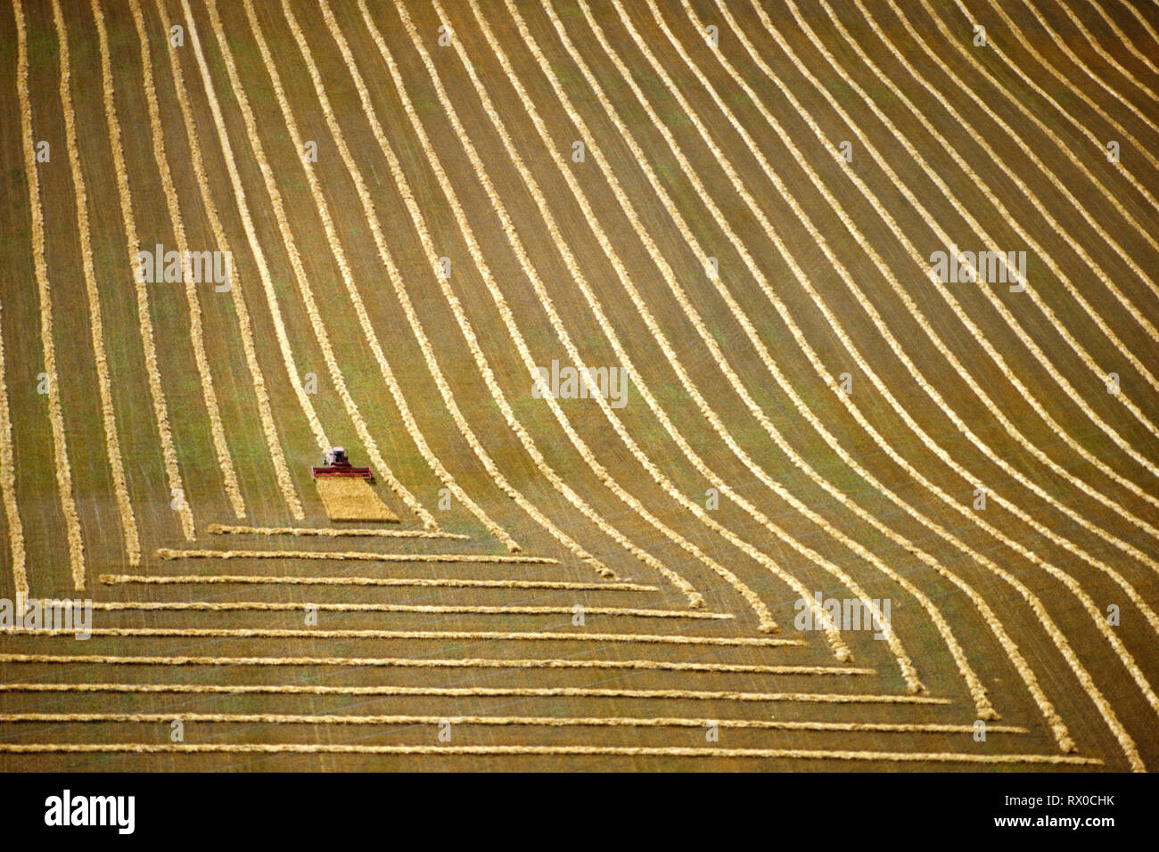 Swathed fields hi-res stock photography and images - Alamy