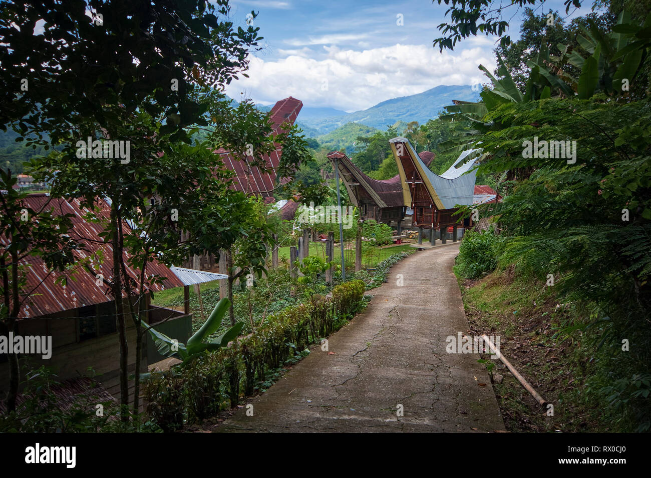 Tana Toraja Regency is a regency of South Sulawesi Province of ...