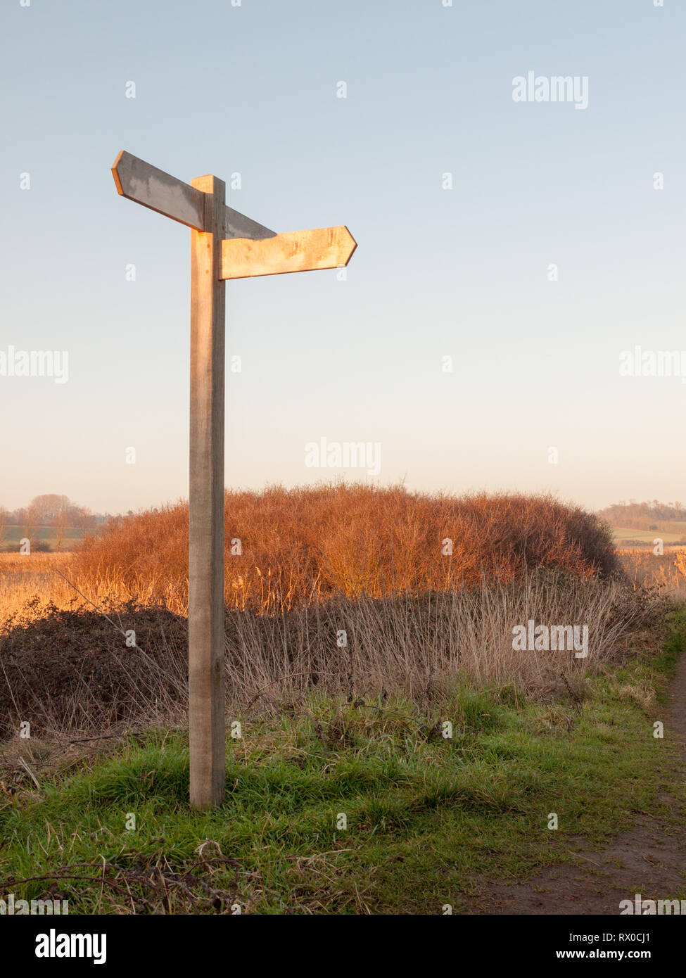 wooden countryside walking way sign directions nature; essex; england ...