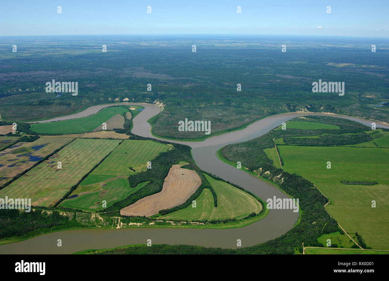 Strong pine hi-res stock photography and images - Alamy