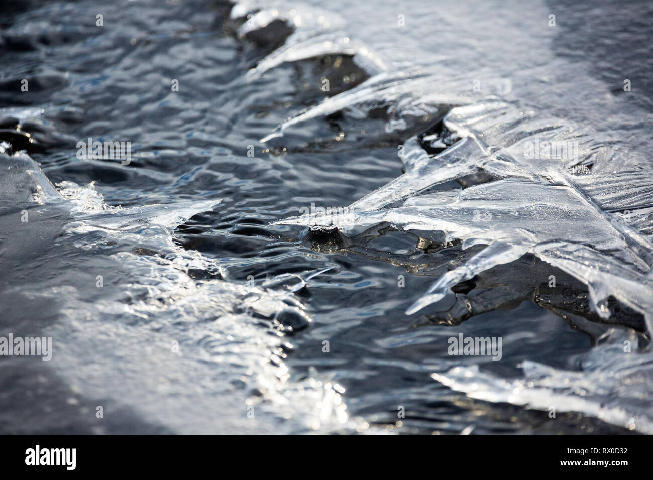 Water in a creek flowing beneath melting ice shards Stock Photo - Alamy