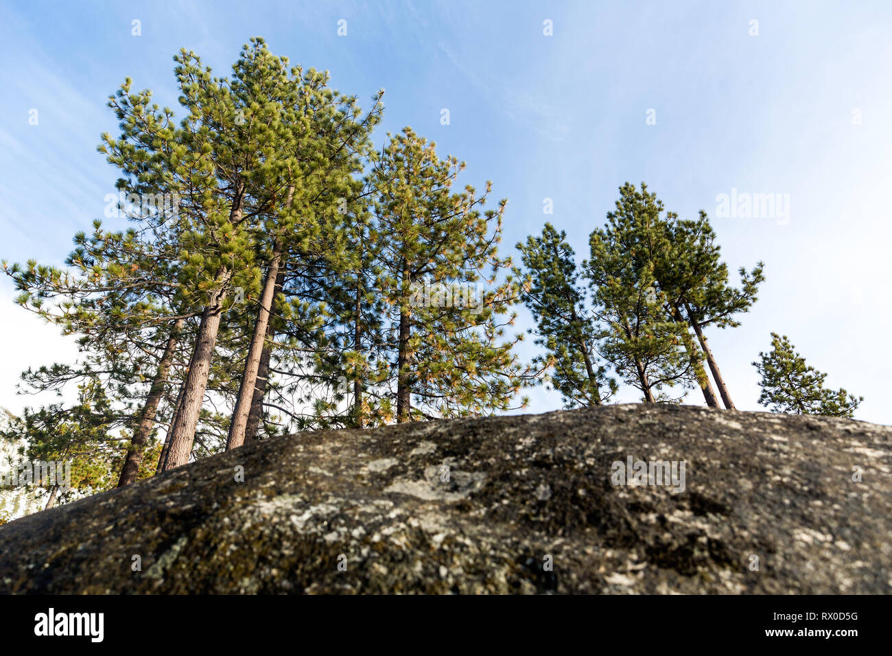 Large rock with trees growing behind it and a blue cloudy sky Stock ...