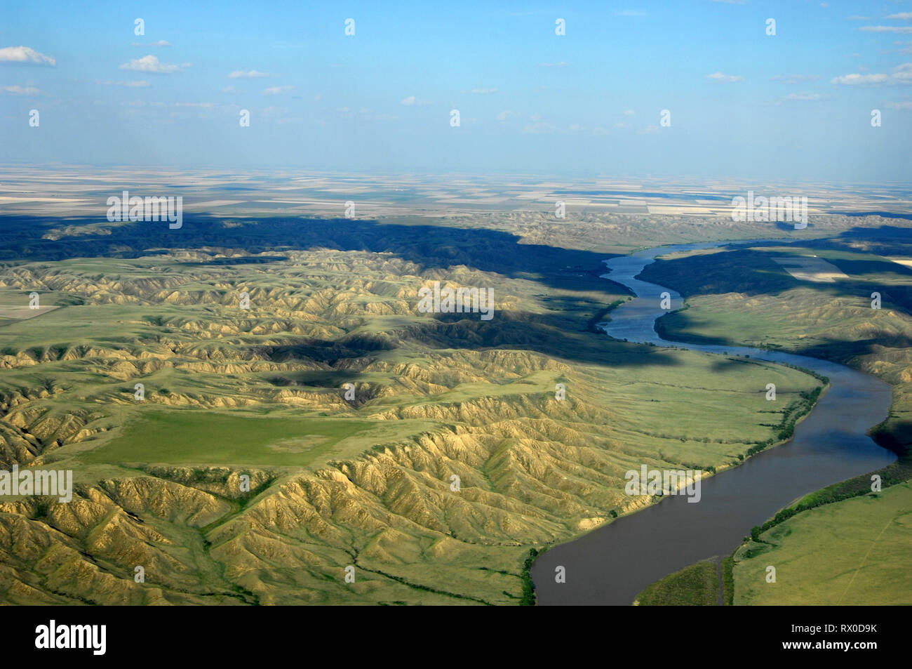 Cabri saskatchewan hi-res stock photography and images - Alamy