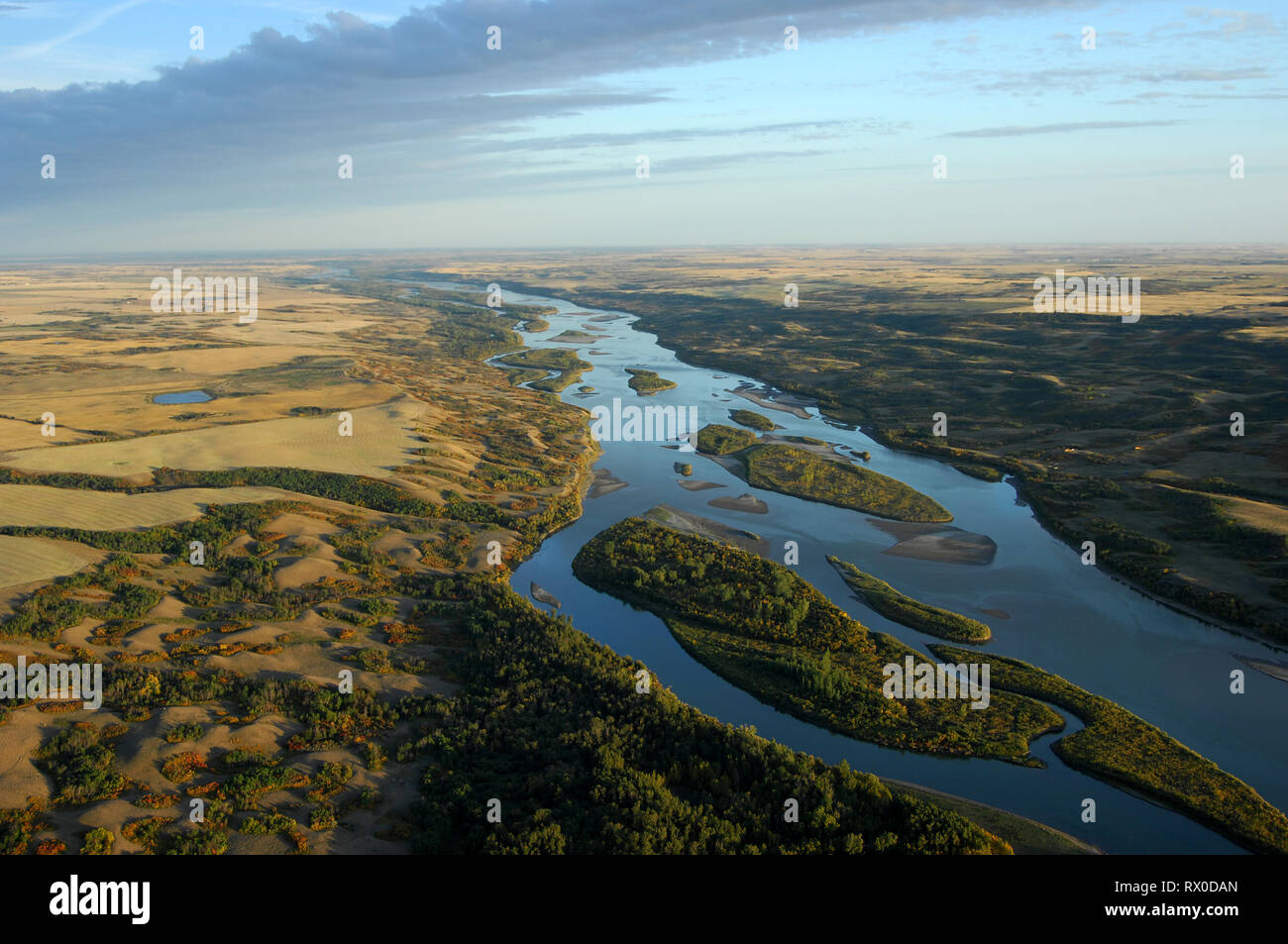 Fielding hi-res stock photography and images - Alamy