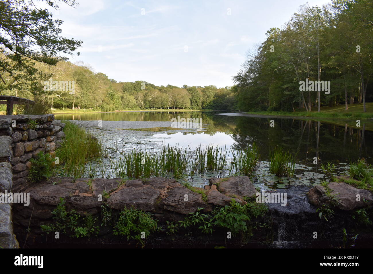 Exploring the pond hi-res stock photography and images - Alamy