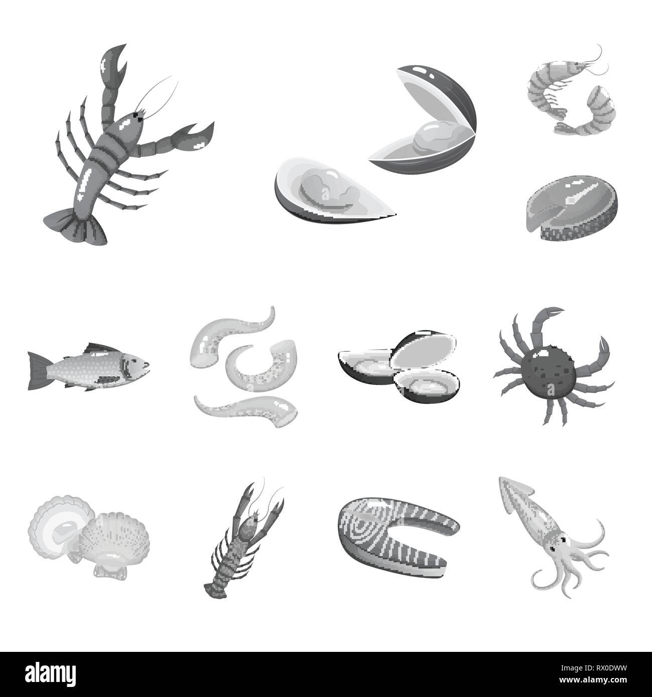 lobster,mussel,shrimp,salmon,octopus,crab,jellyfish,crayfish,jelly ...